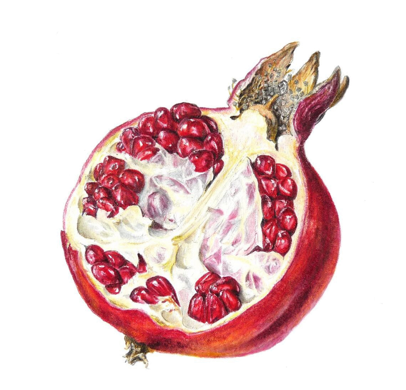 Mocktail rafraîchissant à la grenade, mûre et thym (17eme semaine)